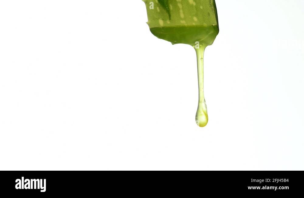 Running leaf Stock Videos & Footage - HD and 4K Video Clips - Alamy