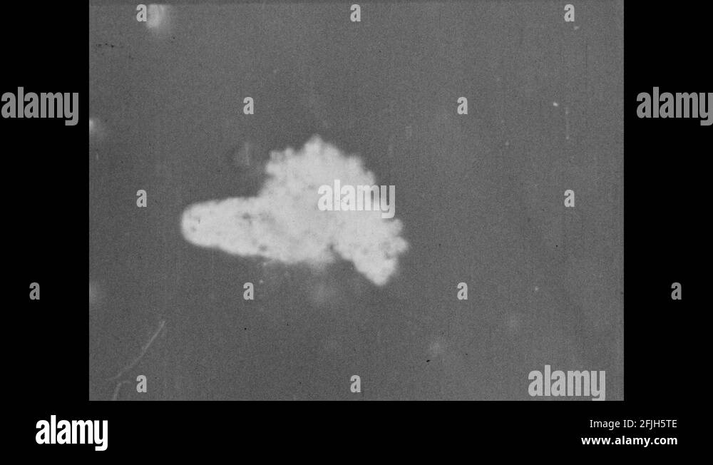 1920s: Amoeba moves Stock Video Footage - Alamy