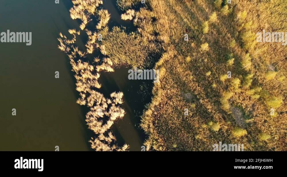Flat fen landscape Stock Videos & Footage - HD and 4K Video Clips - Alamy
