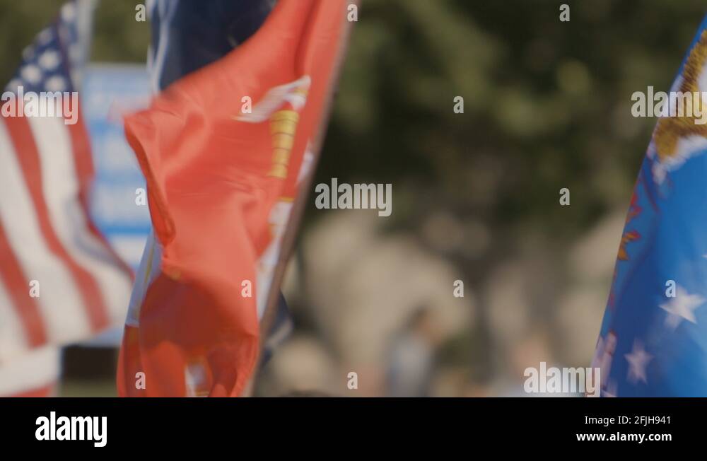 Military flags Stock Videos & Footage - HD and 4K Video Clips - Alamy