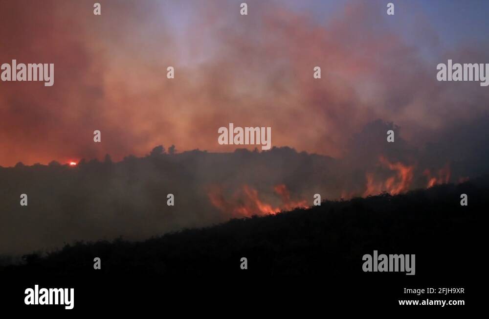 Shrubs fire Stock Videos & Footage - HD and 4K Video Clips - Alamy