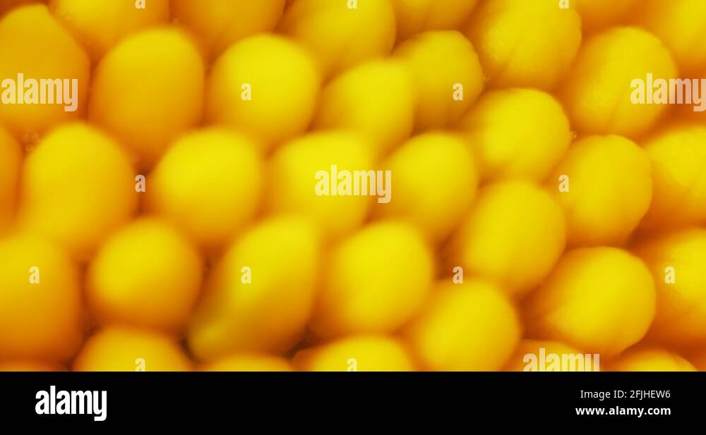 Yellow internal Stock Videos & Footage - HD and 4K Video Clips - Alamy