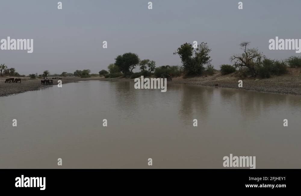 african drought and difficult living conditions Stock Video Footage - Alamy