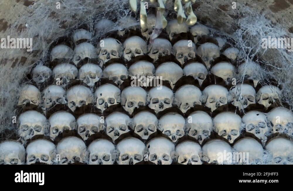 Human bone pile Stock Videos & Footage - HD and 4K Video Clips - Alamy