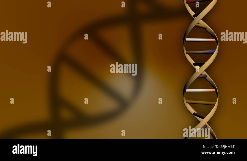 Biology nucleic acids Stock Videos & Footage - HD and 4K Video Clips ...