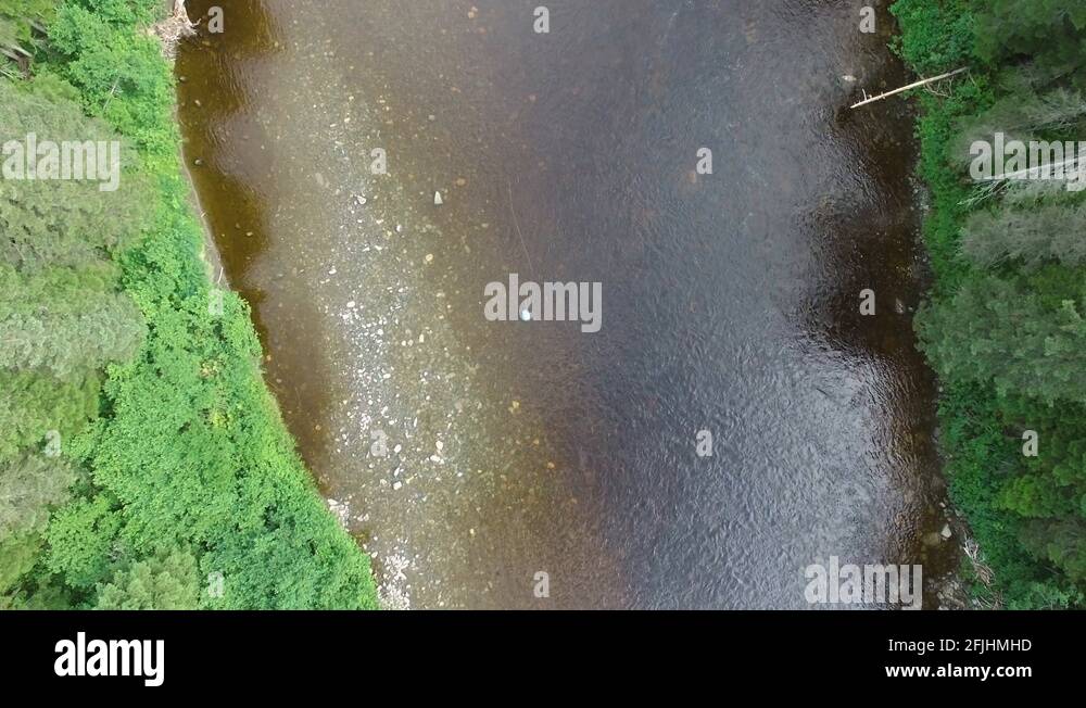 Female fishing birds Stock Videos & Footage - HD and 4K Video Clips - Alamy