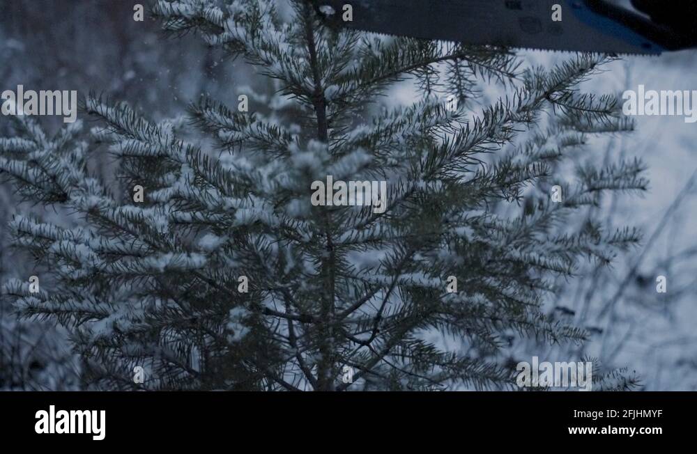 Hitting tree with saw Stock Videos & Footage - HD and 4K Video Clips ...