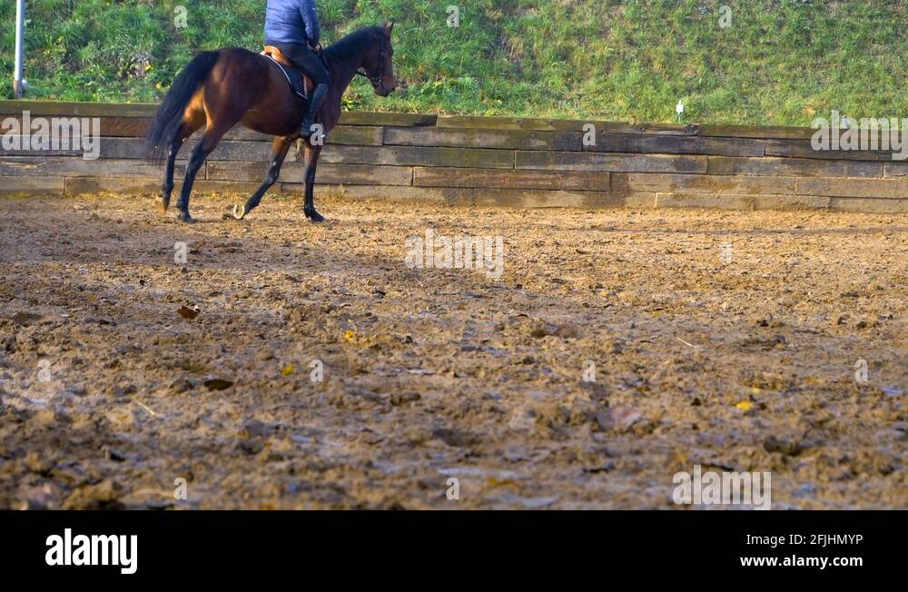 Horse mud race Stock Videos & Footage - HD and 4K Video Clips - Alamy