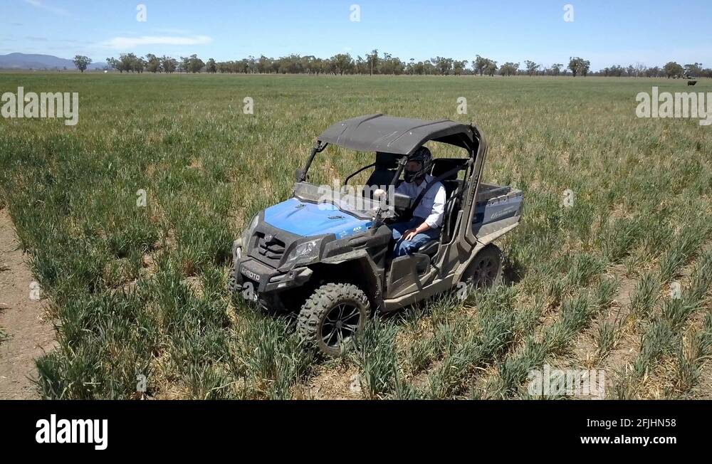 Farm buggy Stock Videos & Footage - HD and 4K Video Clips - Alamy
