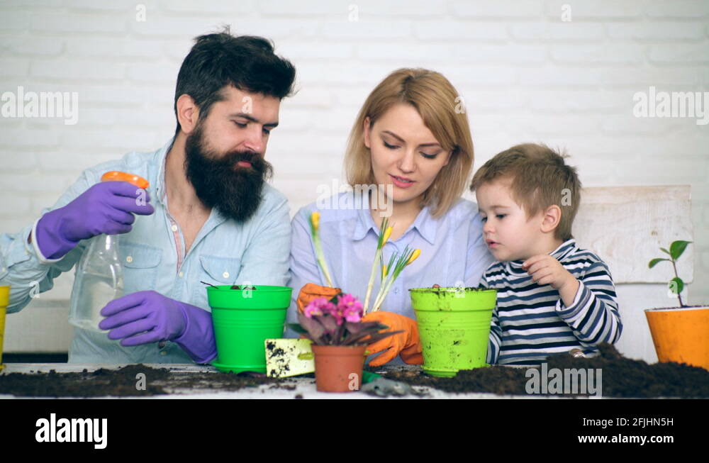 Leisure labor Stock Videos & Footage - HD and 4K Video Clips - Alamy