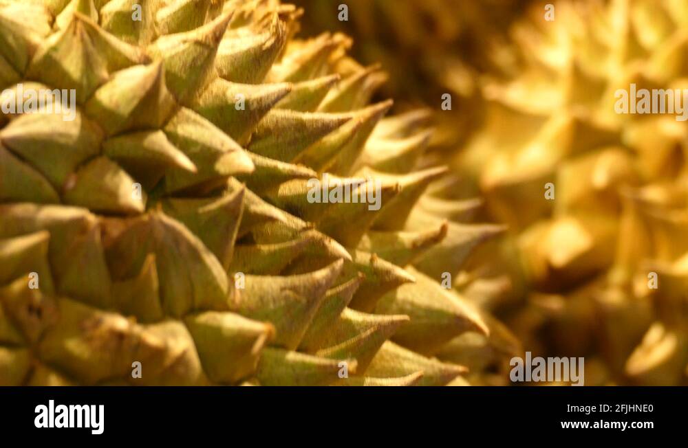 Durian Durian Texture Durian Close-Up King Of Fruit Thai Durian Thai ...