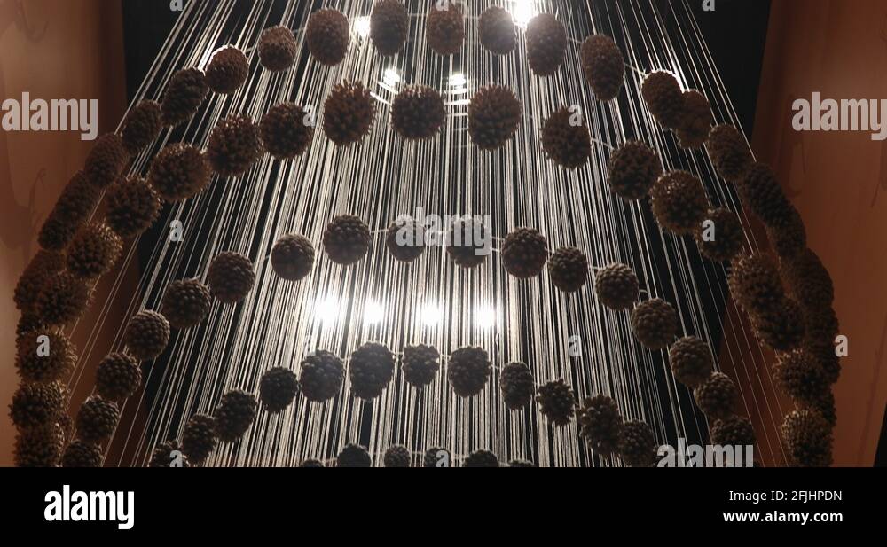 The pineapple structure Stock Videos & Footage - HD and 4K Video Clips ...
