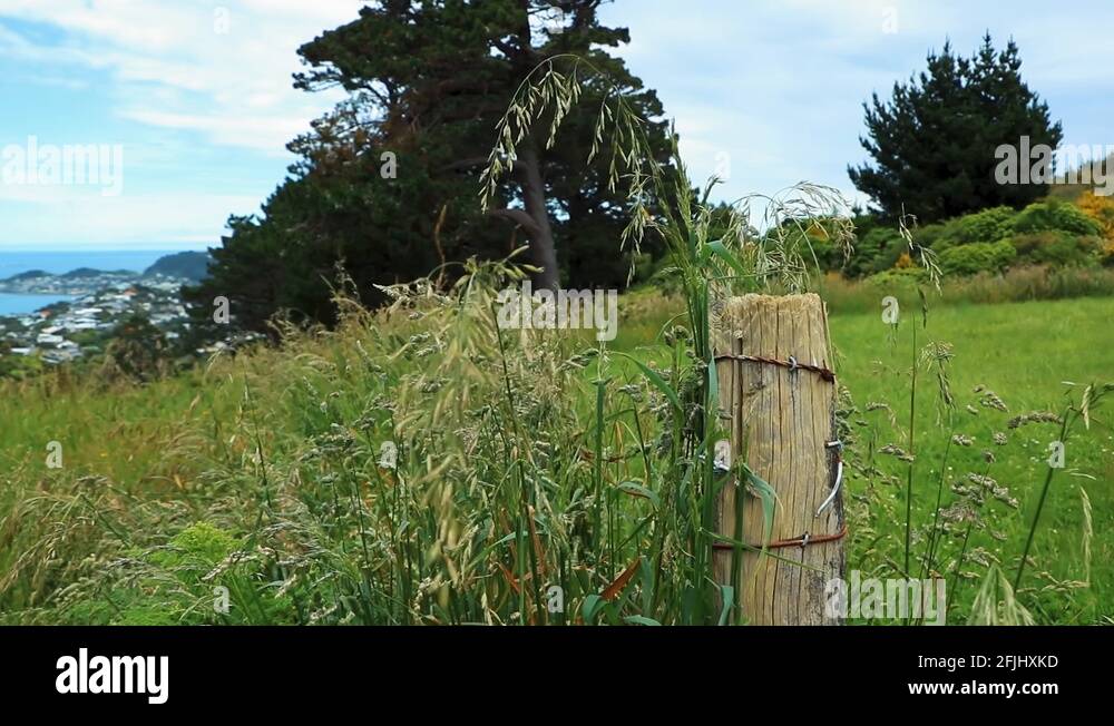 Old fence line Stock Videos & Footage - HD and 4K Video Clips - Alamy