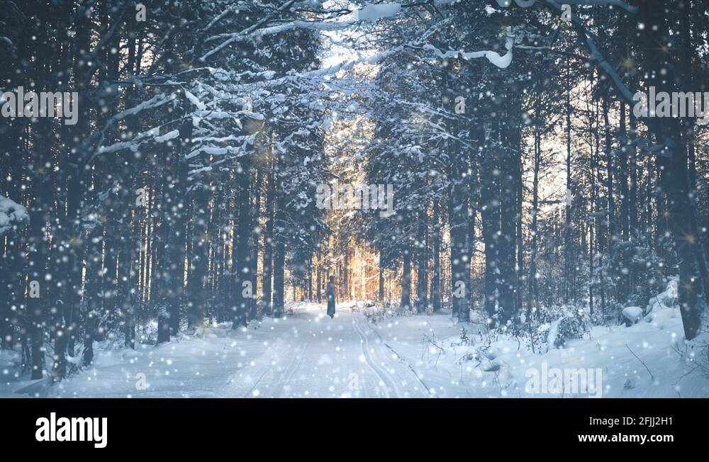 Cinemagraph of winter snowfall in wooods at sunset Stock Video Footage ...