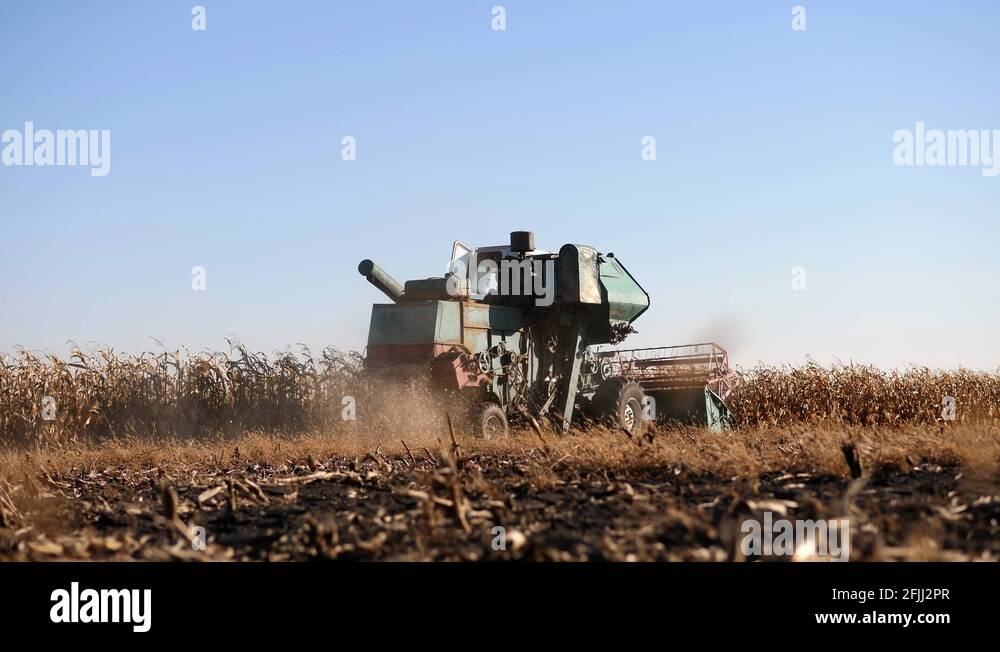 Harvesting a field with a reaper Stock Videos & Footage - HD and 4K ...