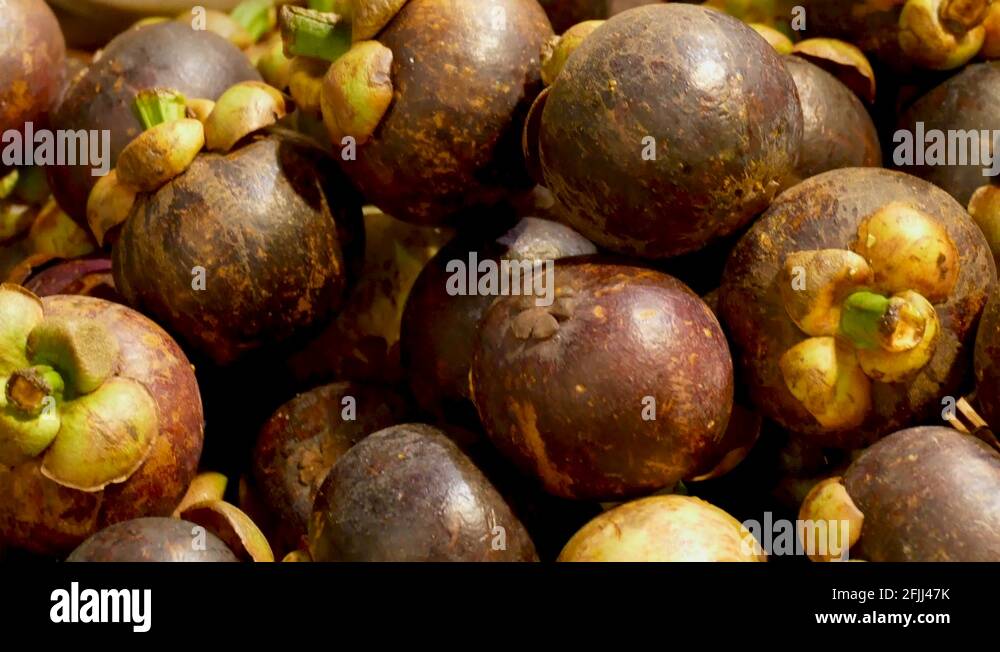 Mangosteens queen of fruits Stock Videos & Footage - HD and 4K Video ...
