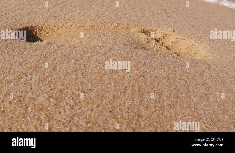 Foot print at beach Stock Videos & Footage - HD and 4K Video Clips - Alamy
