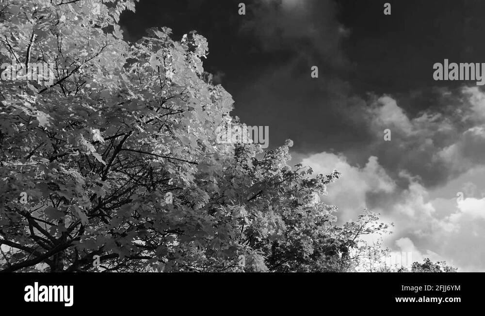 Looping clouds Stock Videos & Footage - HD and 4K Video Clips - Alamy