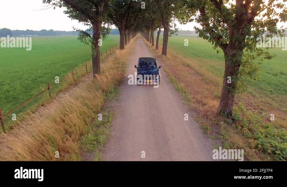 Trees angles Stock Videos & Footage - HD and 4K Video Clips - Alamy