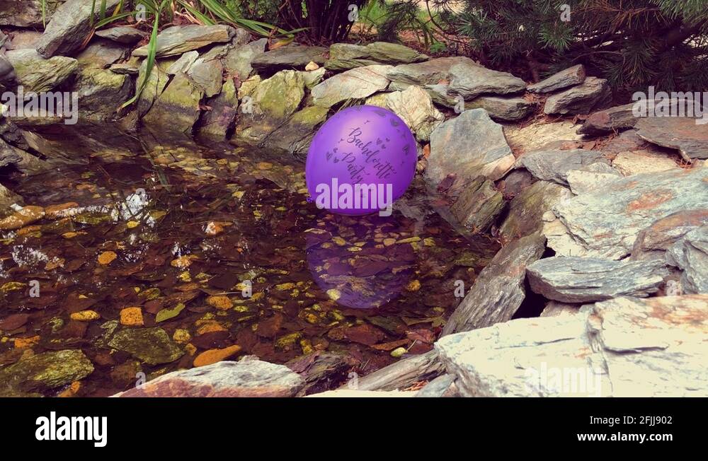 Bachelorette party balloon floating in small pond after a crazy evening ...
