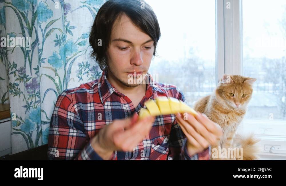 Man feeding cat Stock Videos & Footage - HD and 4K Video Clips - Alamy