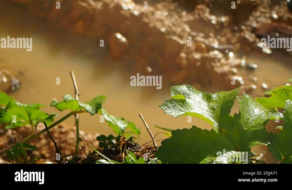 Mud banking Stock Videos & Footage - HD and 4K Video Clips - Alamy