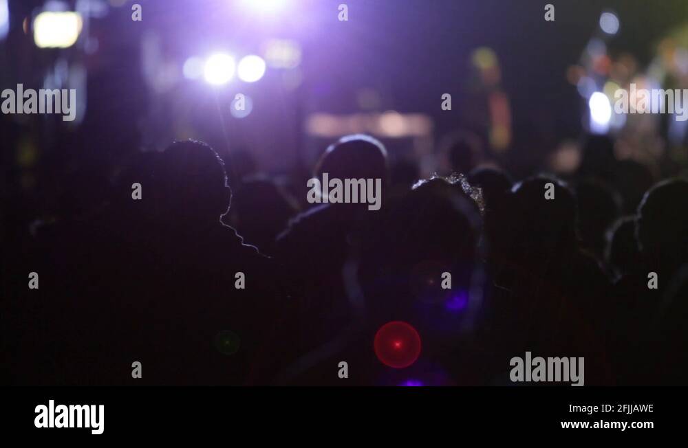 Crowd of people dancing, clapping hands and enjoying a concert with ...