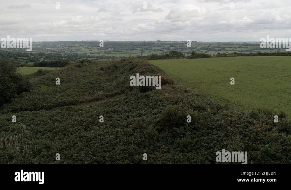 Gorse trees bushes view Stock Videos & Footage - HD and 4K Video Clips ...