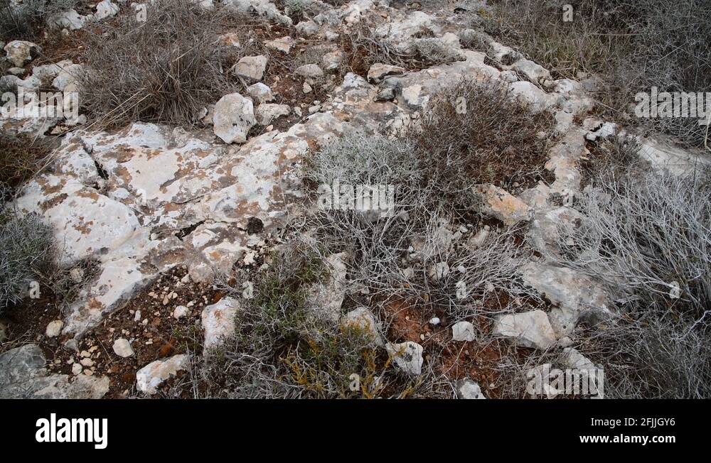 Ground island Stock Videos & Footage - HD and 4K Video Clips - Alamy