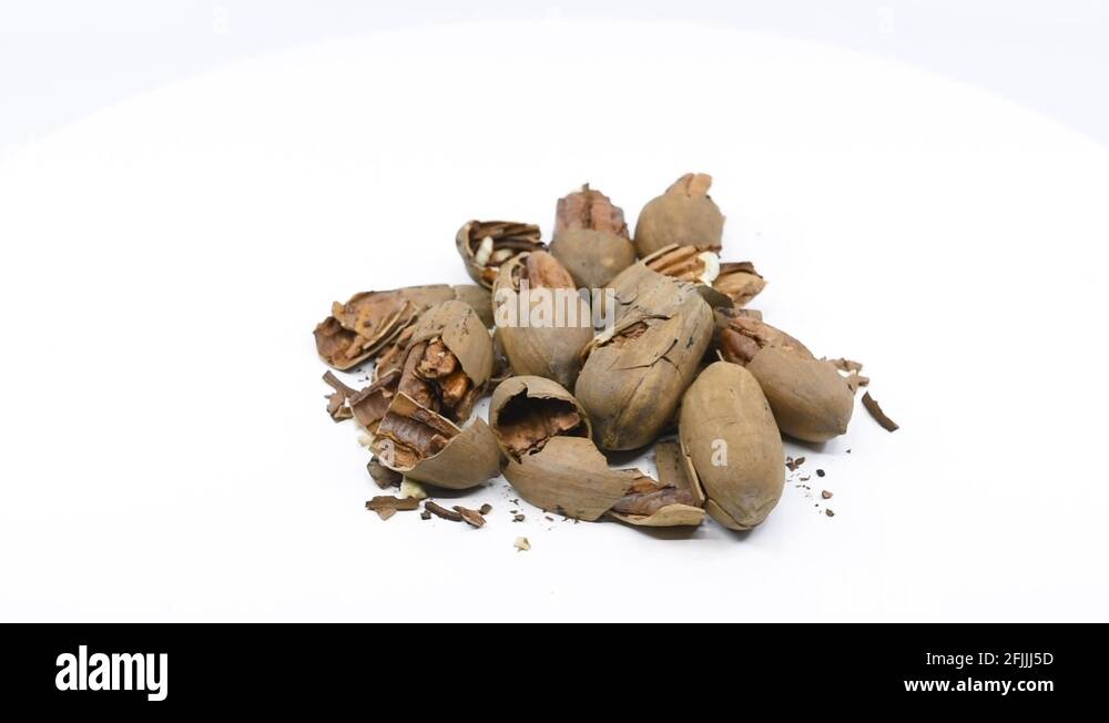 Shell pile Stock Videos & Footage - HD and 4K Video Clips - Alamy