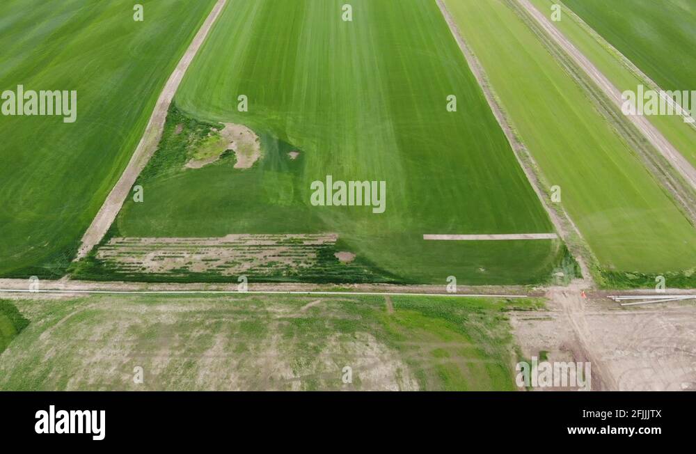 Turf farm Stock Videos & Footage - HD and 4K Video Clips - Alamy