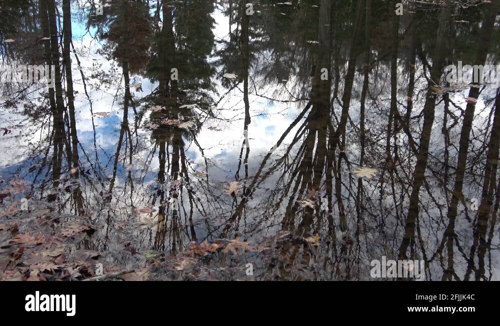 Pond Reflecting Trees and Sky - Zoom Stock Video Footage - Alamy