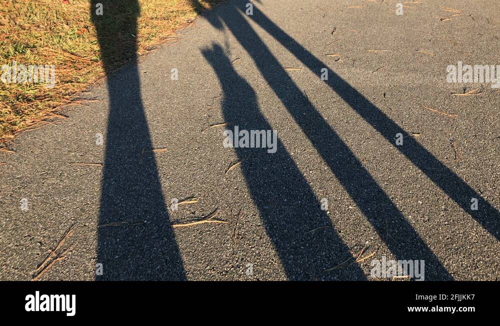 Shadows two people on pavement Stock Videos & Footage - HD and 4K Video ...