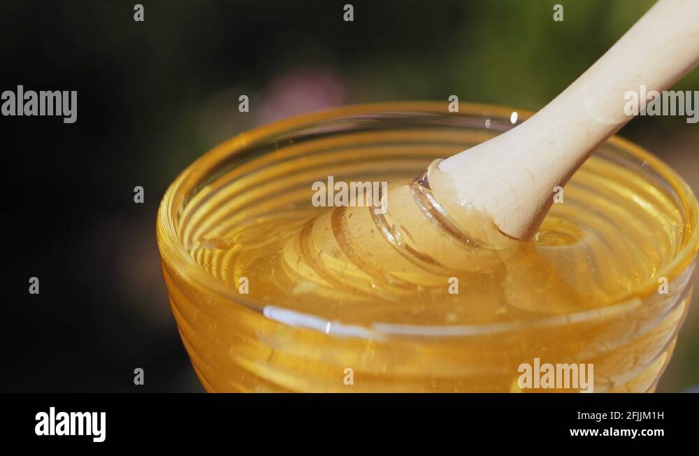 Honey. Dripping honey. Extraction honey with a dipper. Honey drizzler ...