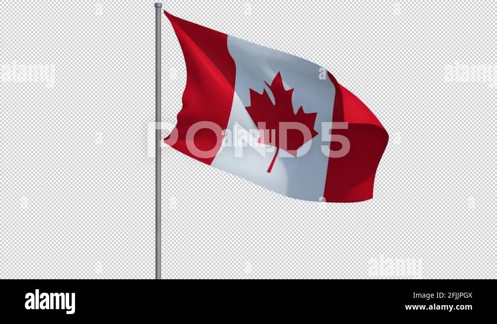 Bandera canada Stock Videos & Footage - HD and 4K Video Clips - Alamy