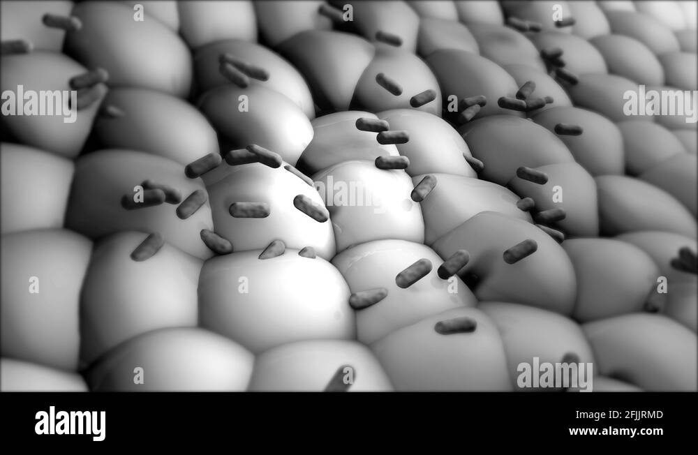 Microscope bacteria divide Stock Videos & Footage - HD and 4K Video ...