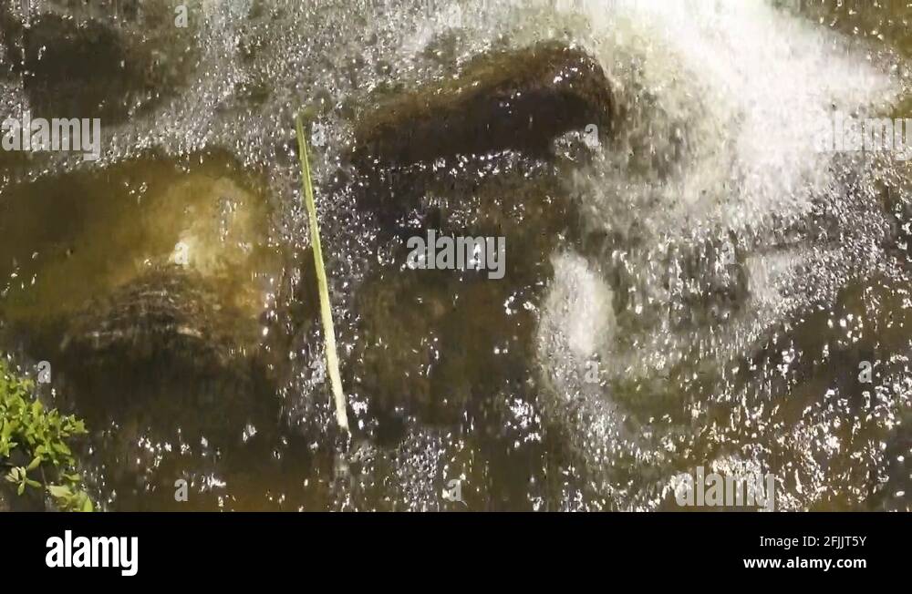 Bed of rocks Stock Videos & Footage - HD and 4K Video Clips - Alamy