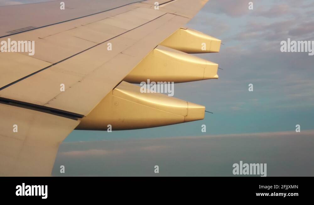 Right wing Stock Videos & Footage - HD and 4K Video Clips - Alamy