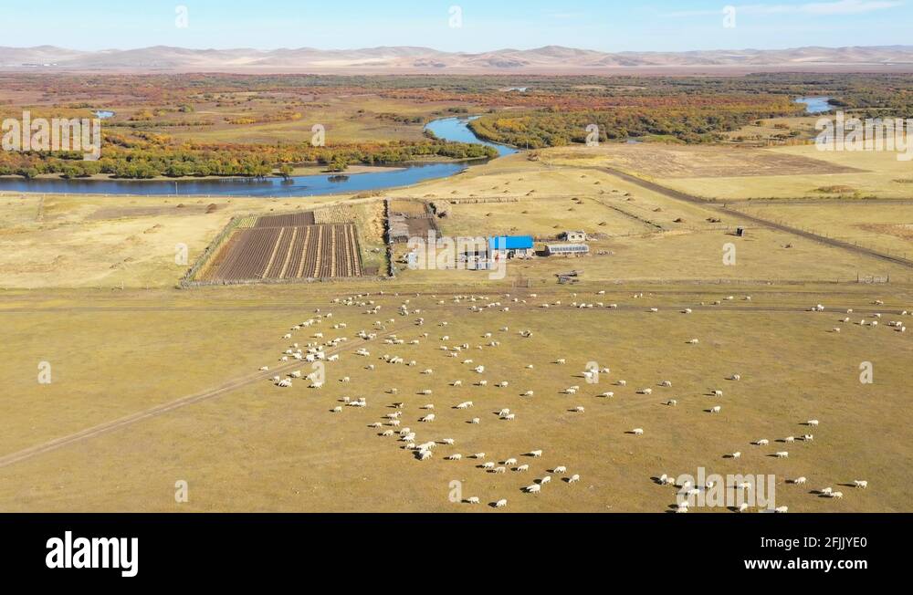 Mongolia agriculture Stock Videos & Footage - HD and 4K Video Clips - Alamy