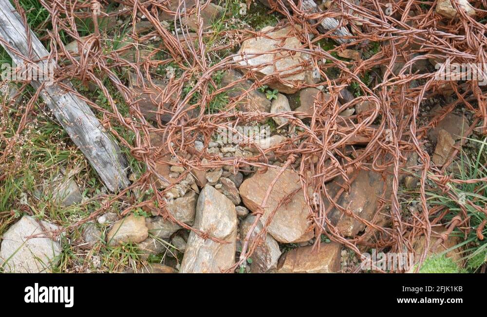 Barbed wire trench Stock Videos & Footage - HD and 4K Video Clips - Alamy