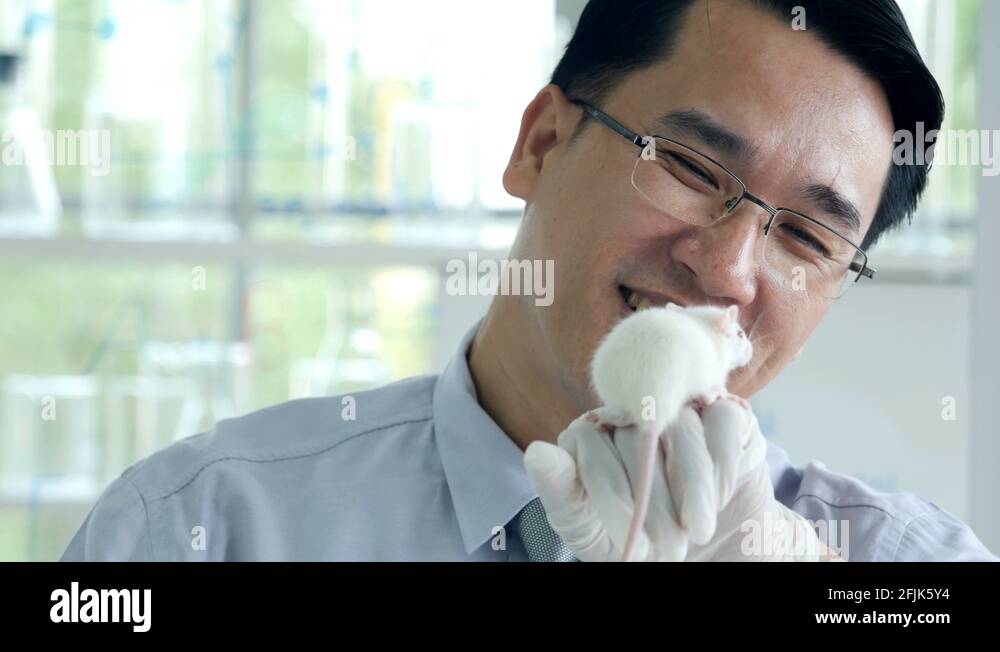 Behavior research test Stock Videos & Footage - HD and 4K Video Clips ...