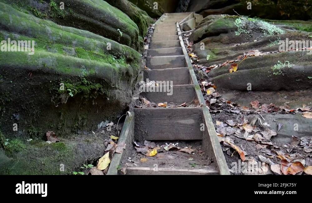 Wooden steps on nature trail Stock Videos & Footage - HD and 4K Video ...