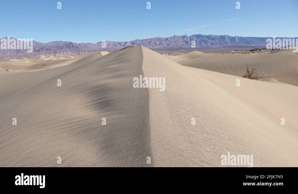 Dune edge Stock Videos & Footage - HD and 4K Video Clips - Alamy