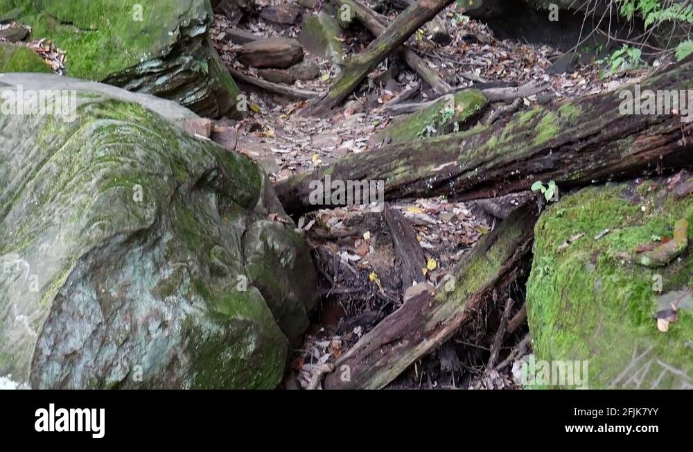 Cliffside texture Stock Videos & Footage - HD and 4K Video Clips - Alamy