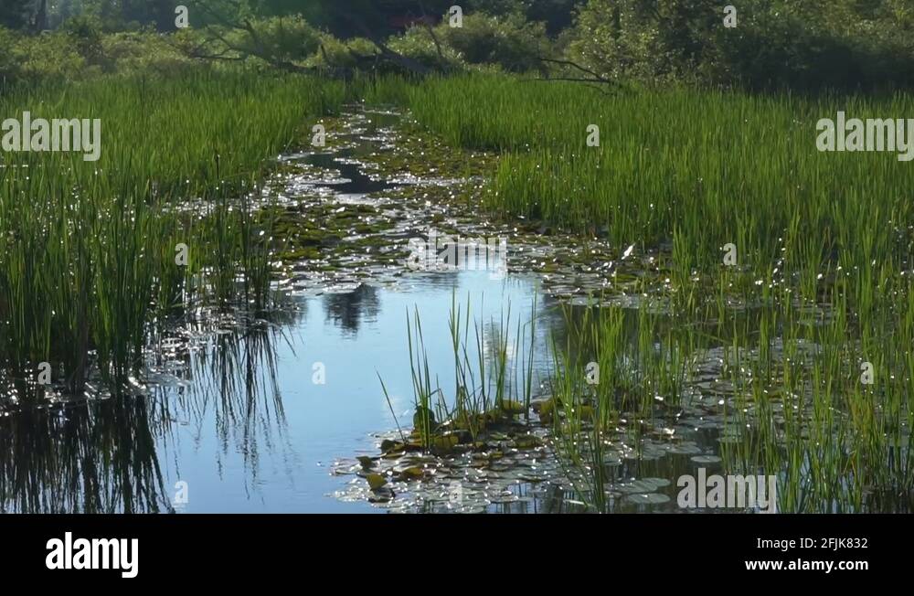 Blue sky reflecting in water Stock Videos & Footage - HD and 4K Video ...