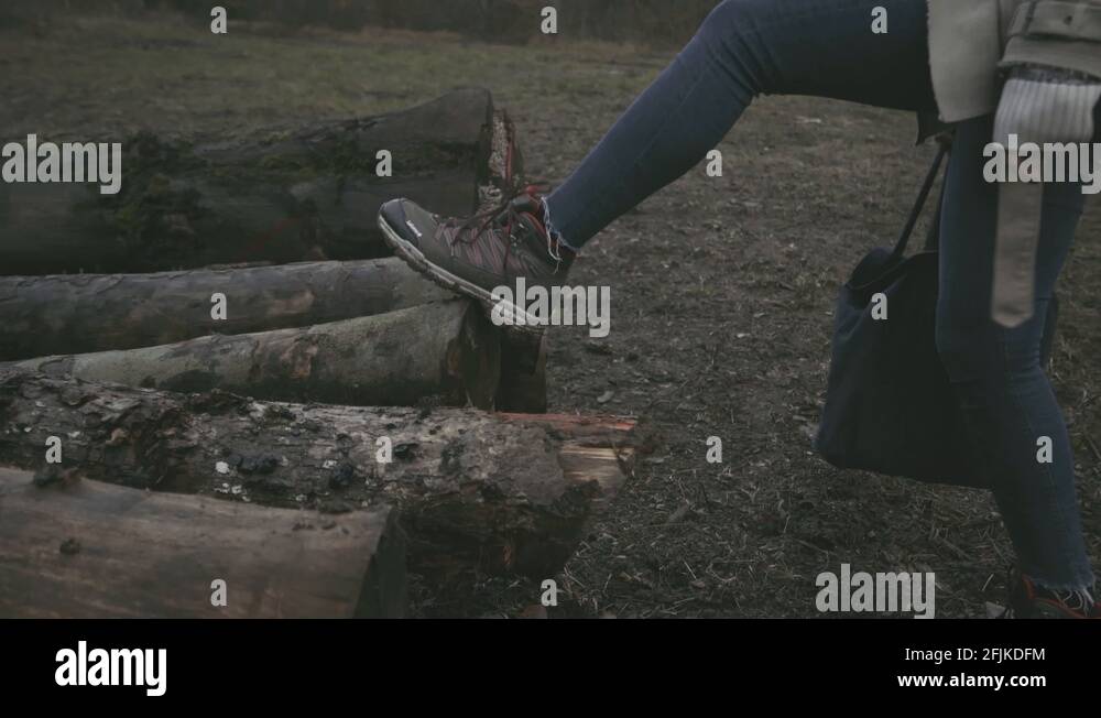 Tree trunk in mud Stock Videos & Footage - HD and 4K Video Clips - Alamy