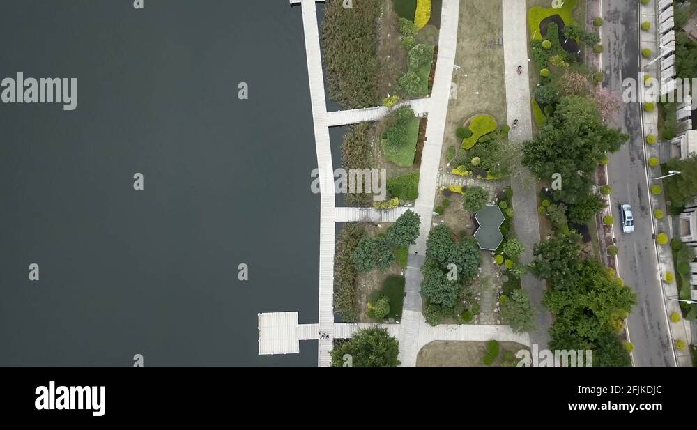 Left side of the bird Stock Videos & Footage - HD and 4K Video Clips ...