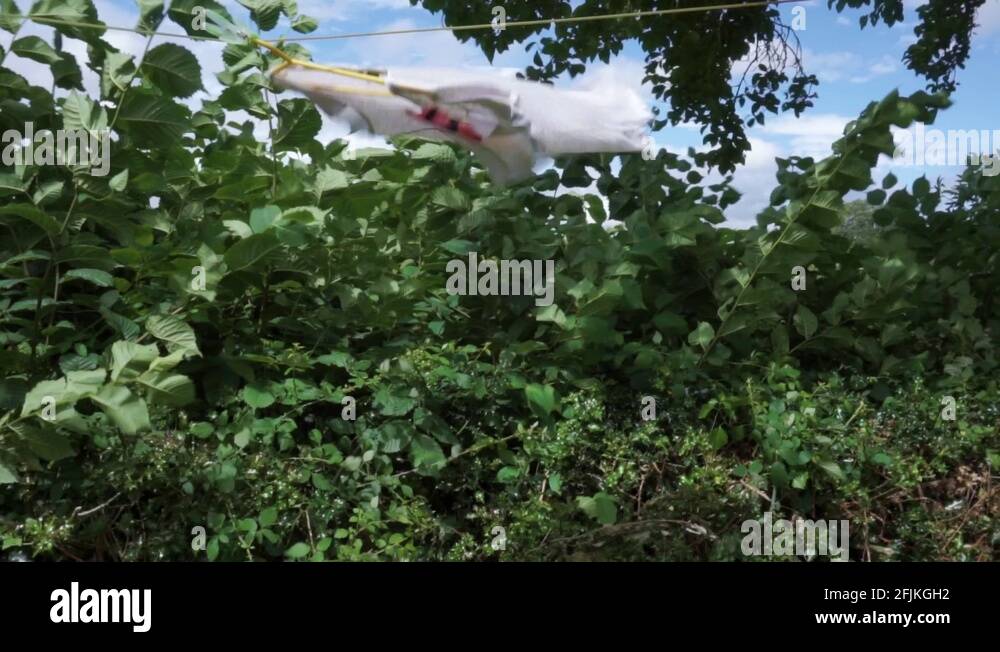 Wind outdoors Stock Videos & Footage - HD and 4K Video Clips - Alamy