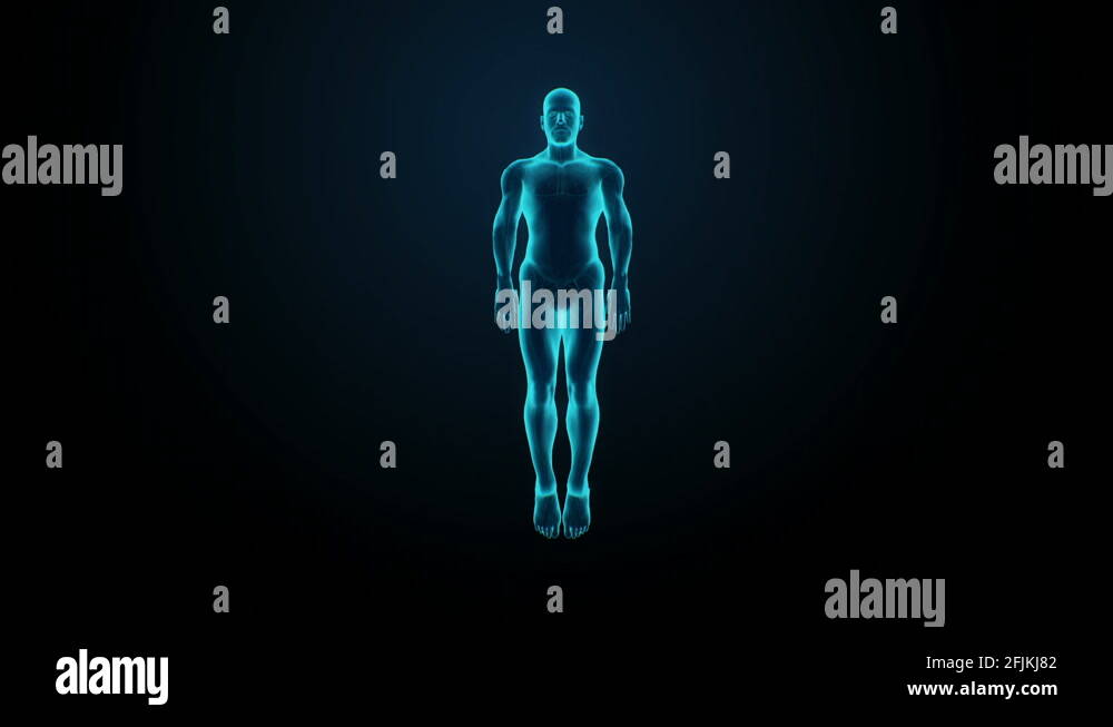 Scanning blood vessel in male body. blue x-ray, 4k animation Stock ...