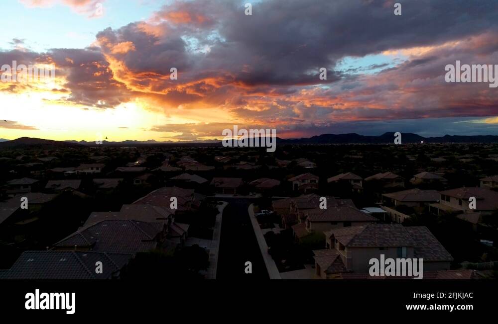Birds of arizona desert Stock Videos & Footage - HD and 4K Video Clips ...